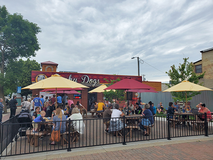 Lucky Dogs' outdoor patio buzzes with conversation and laughter&mdash;proof that good food tastes even better when enjoyed in fresh northern Minnesota air.