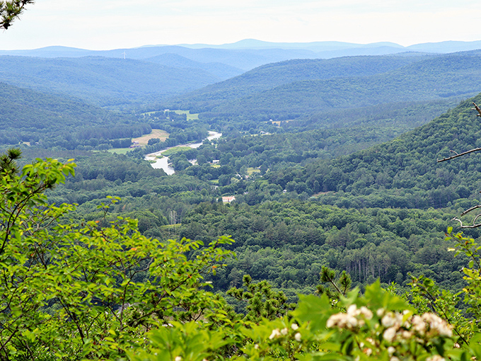 From this vantage point, the Deerfield River Valley unfolds like nature's own stress-relief blanket, wrapping the village in layers of green serenity.