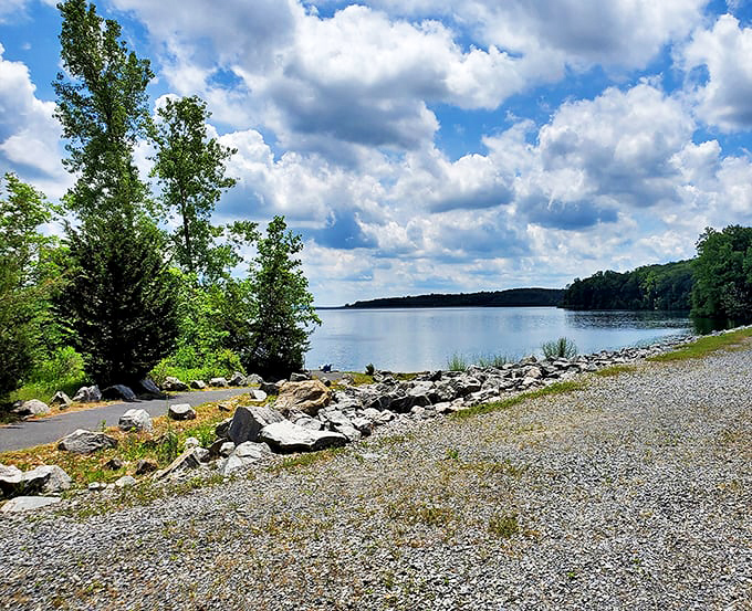Merrill Creek Reservoir offers tranquil waters and rocky shores where contemplation comes free of charge and nature provides the entertainment.