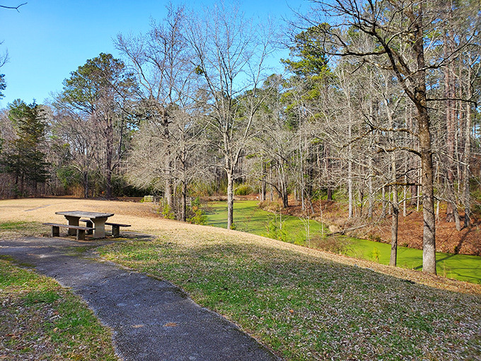 This peaceful picnic spot offers a quiet respite from everyday hustle. That lone bench is practically begging you to bring a sandwich and a good book.