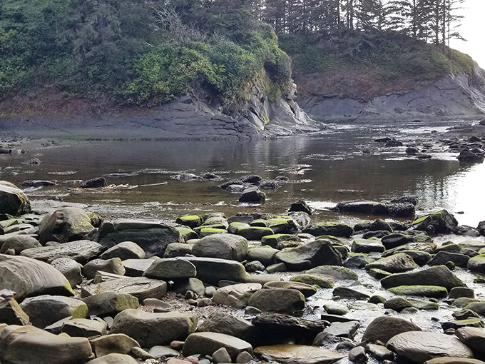 Rocky tidepools at low tide reveal miniature worlds that put any aquarium's touch tank to shame.