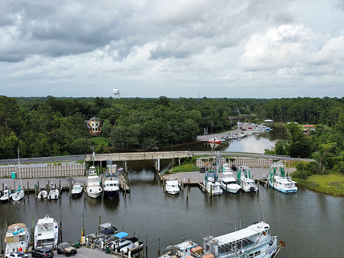 The harbor doesn't just shelter boats—it cradles dreams of adventure, fresh catches, and that perfect day on the water that lives in every coastal resident's heart.