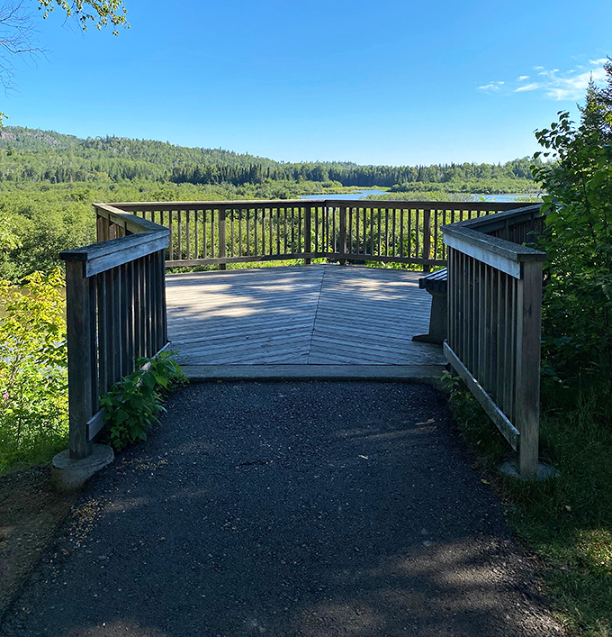 A simple bench in the forest offers the best seat in nature's theater, no ticket necessary.