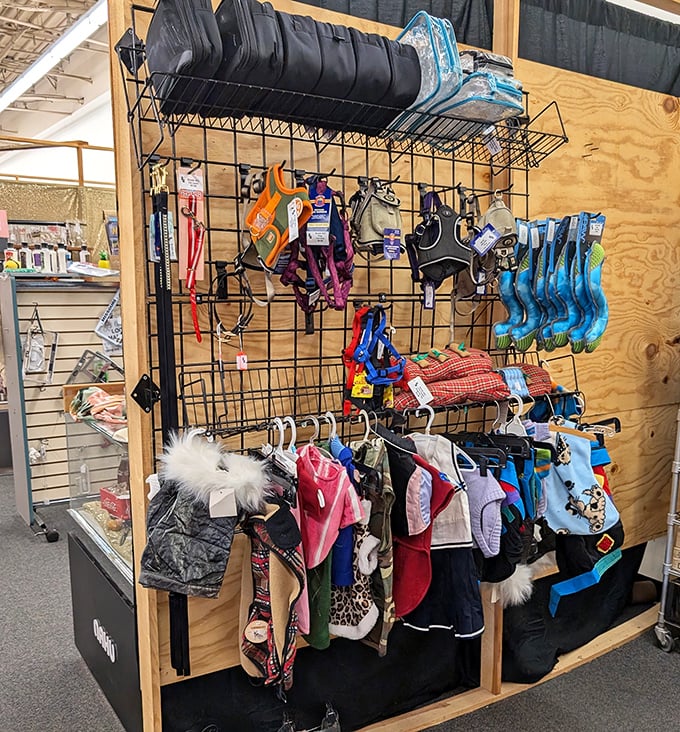 Pet paradise! From fashionable bandanas to practical leashes, your four-legged friend deserves outlet prices too.