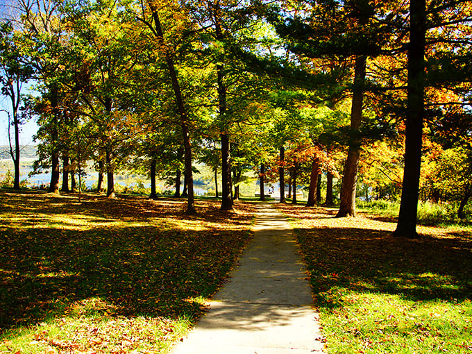 Fall at Pikes Peak State Park (yes, Iowa has one too!) transforms ordinary trees into a painter's palette of autumn glory.