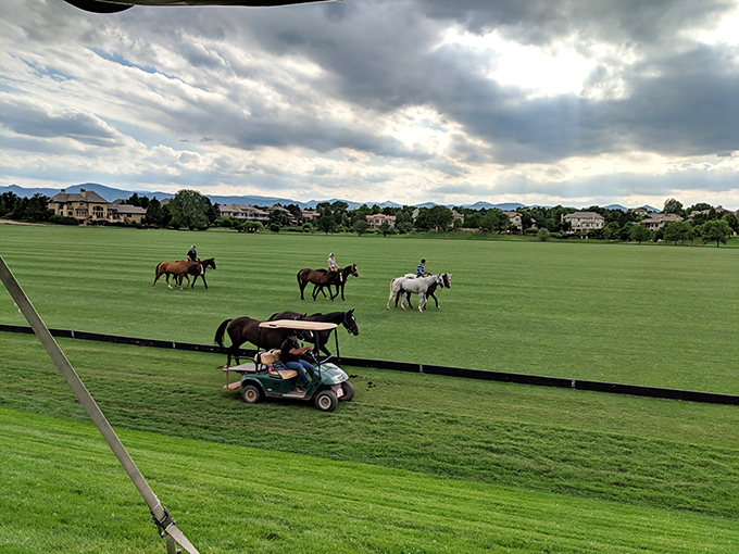 Polo Reserve's emerald fields host both equestrian elegance and golf carts, a juxtaposition that somehow perfectly captures Littleton's unpretentious charm.