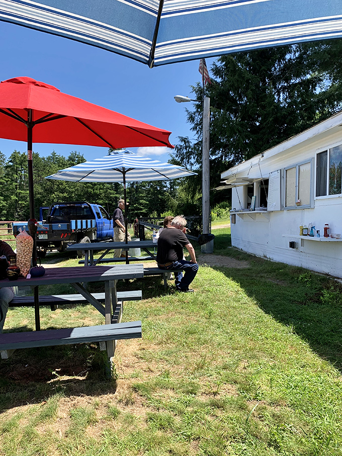 When treasure hunting fatigue sets in, these shaded picnic tables offer respite and the perfect spot to compare finds.