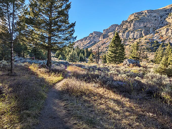 Sinks Canyon's trails wind through dramatic landscapes where limestone cliffs and pine forests create nature's perfect playground just minutes from downtown.