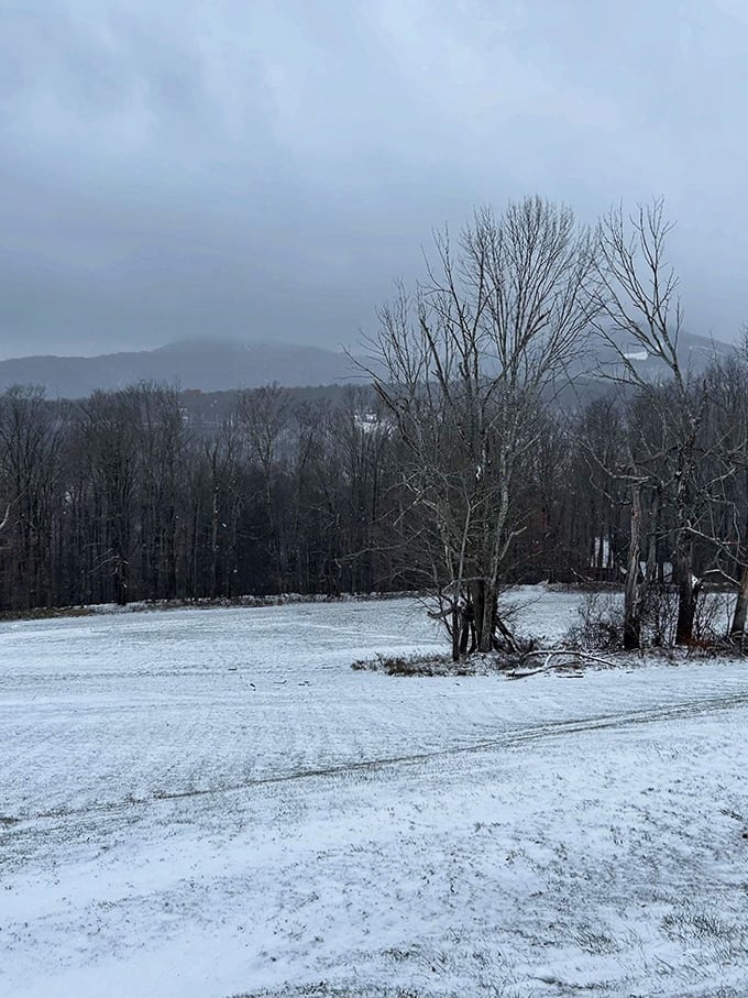 Winter blankets Carbondale's landscape in pristine white, transforming ordinary fields into serene canvases of peaceful solitude.
