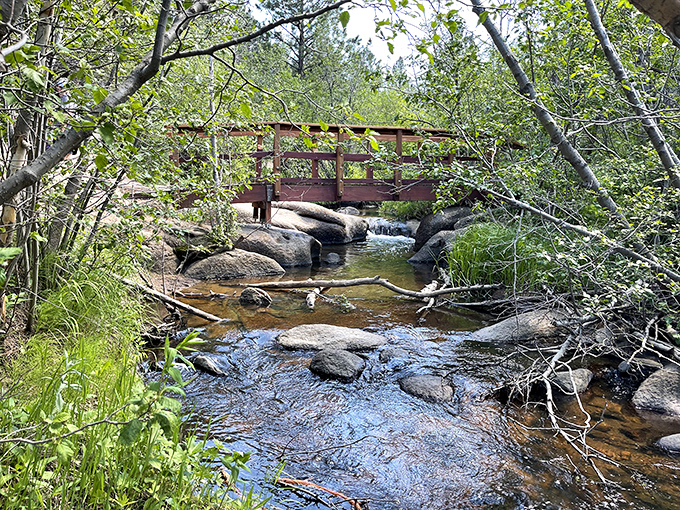 Nature's perfect soundtrack: rushing water over ancient stones. This little stream has been composing the same melody for centuries, and it never gets old.