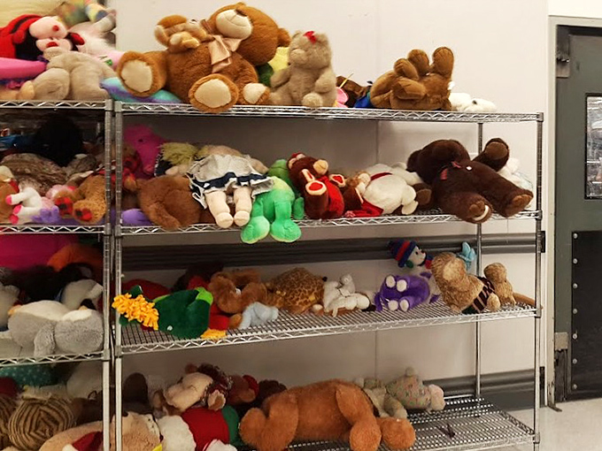 The island of misfit stuffed animals, all patiently waiting for their forever homes. That teddy bear's eyes say, "Take me home!"