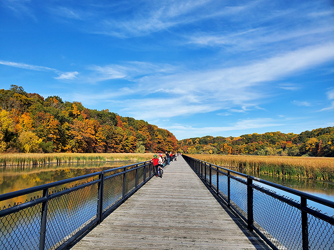 Turning Point Park's boardwalk cuts through autumn foliage like a wooden ribbon, offering views that make even smartphone cameras look professional.