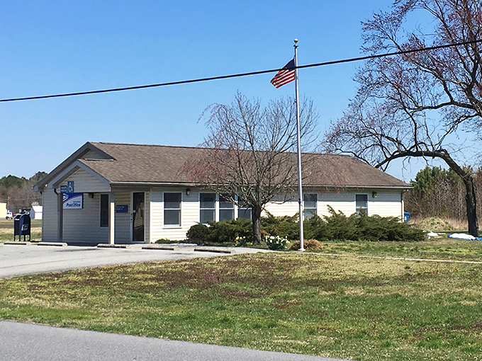 Mail call without the chaos. The local post office offers that increasingly rare combination of efficiency and friendly faces who might actually know your name.