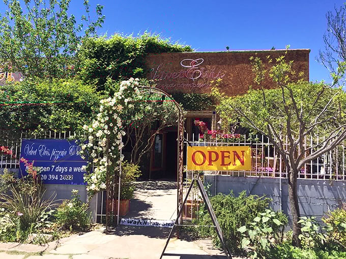 The Velvet Elvis beckons with flowering vines and vibrant colors &ndash; a desert oasis where pizza dreams come true without having to debate Chicago versus New York styles.