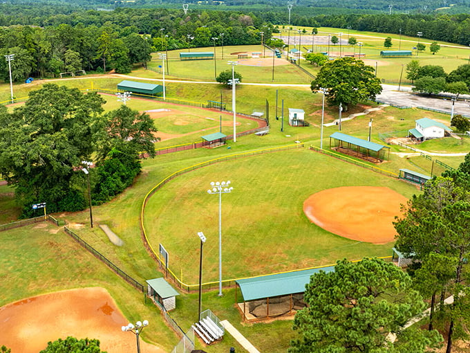 Baseball diamonds and green fields stretch toward the horizon, where future Scout Finches and Dill Harrises craft their own summer adventures.