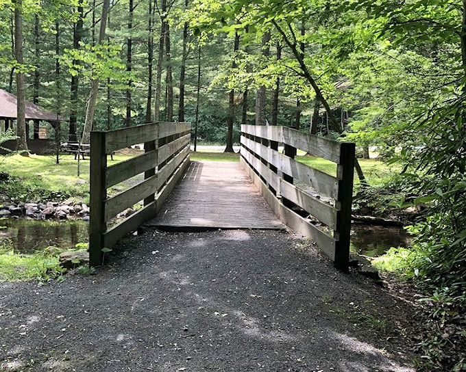 Another bridge view that belongs on a calendar or jigsaw puzzle. The kind of scene that makes you pause mid-hike, suddenly remembering what matters in life.