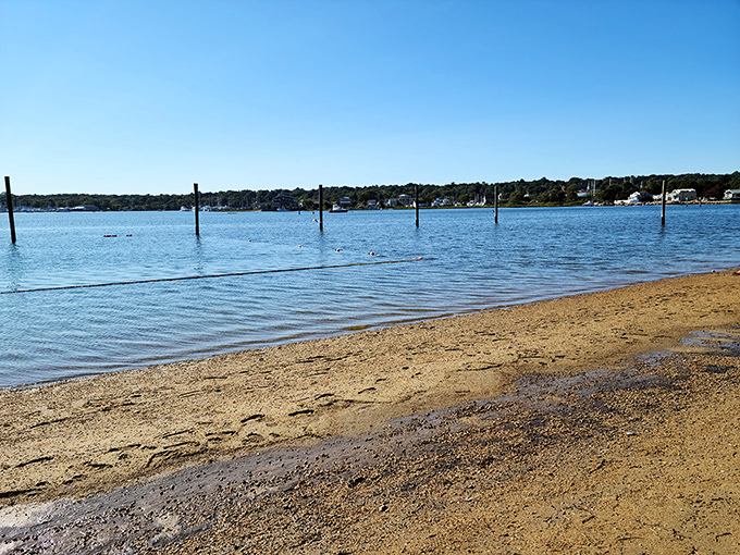 Williams Beach offers that quintessential New England shoreline experience: simple, unspoiled, and refreshingly uncrowded. No fighting for towel space here.