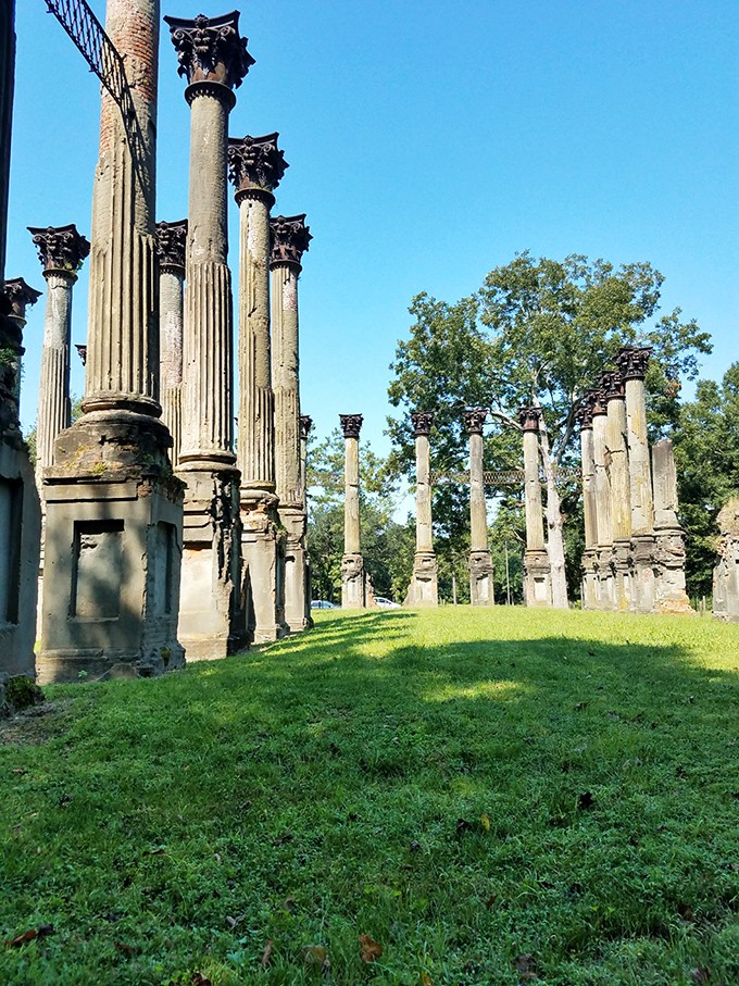 Windsor Ruins stand like ancient Greek columns transplanted to Mississippi soil, a haunting reminder that time spares nothing but beauty.