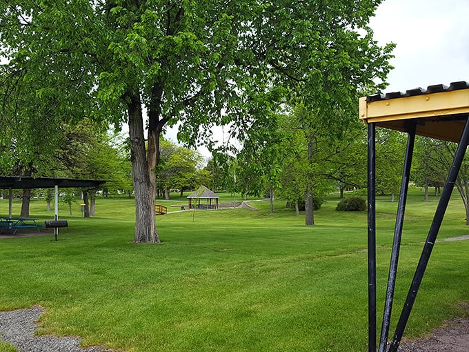 Winner City Park offers that increasingly rare commodity: simple green space where generations gather without admission fees or complicated rules.
