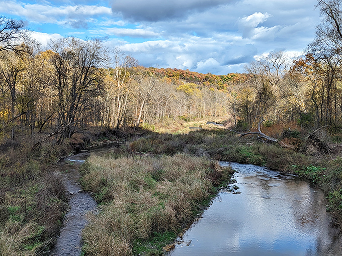 Yellow River State Forest's pristine streams meander through autumn meadows, creating a scene so peaceful it feels like time itself has slowed.