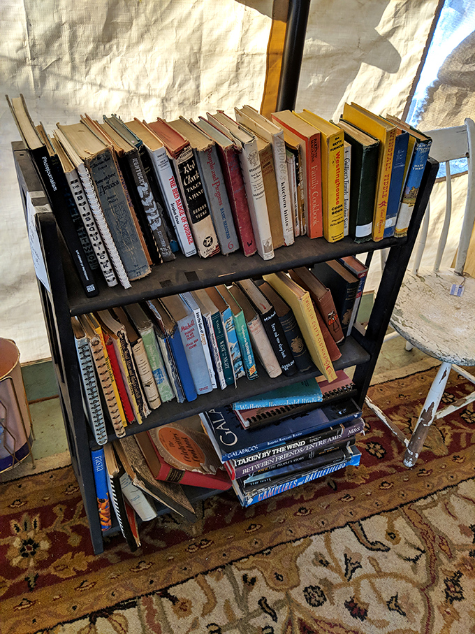 Books arranged not by algorithm but by serendipity &ndash; spines that have been cracked by curious minds long before e-readers were even imagined.