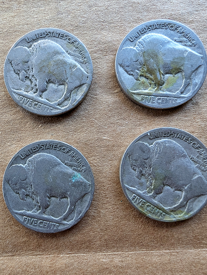 Buffalo nickels tell America's story five cents at a time. These pocket-worn travelers have passed through countless hands before landing in this collector's display.