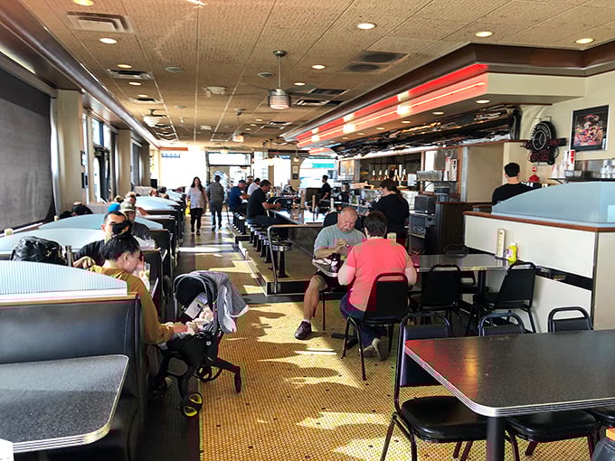 Where strangers become regulars. Sunlight streams through the windows, illuminating a classic diner scene that Norman Rockwell would've loved to paint.