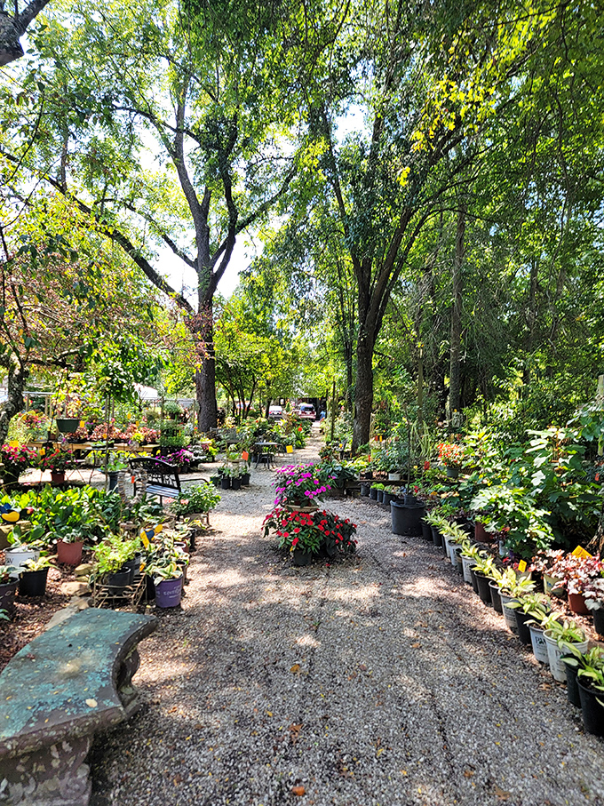 Garden pathways lined with vibrant flowers and potted plants create a magical approach that sets the tone for the feast ahead.