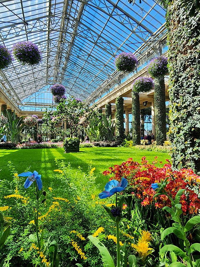 Sunlight streams through the Conservatory's glass ceiling, creating a paradise where plants thrive and winter blues evaporate faster than morning dew.
