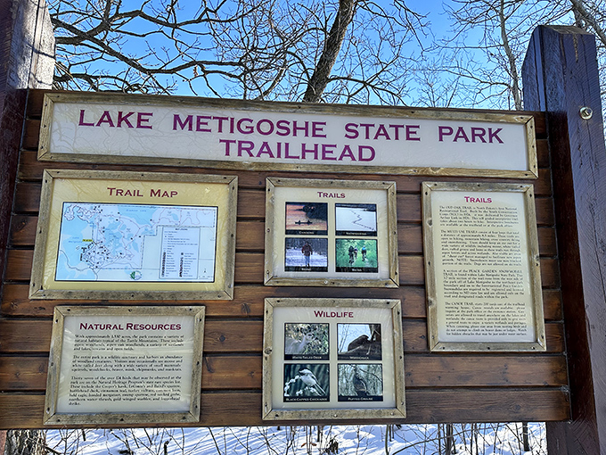 Nature's instruction manual—where trail maps help ensure your "quick afternoon hike" doesn't turn into an unplanned overnight adventure.