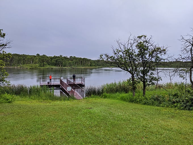 A simple fishing dock becomes front-row seating to nature's greatest show. No tickets required, just patience and an appreciation for unscripted wilderness drama.