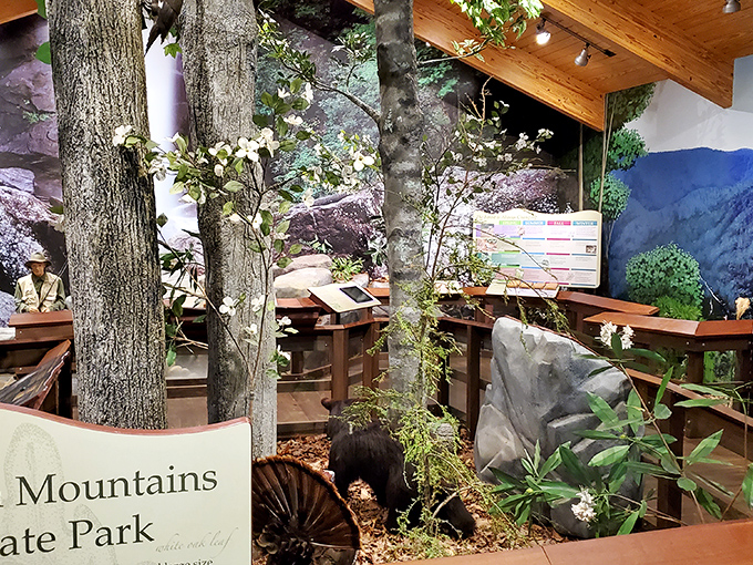 The visitor center brings the outdoors inside with displays that make learning about nature feel like an actual adventure.