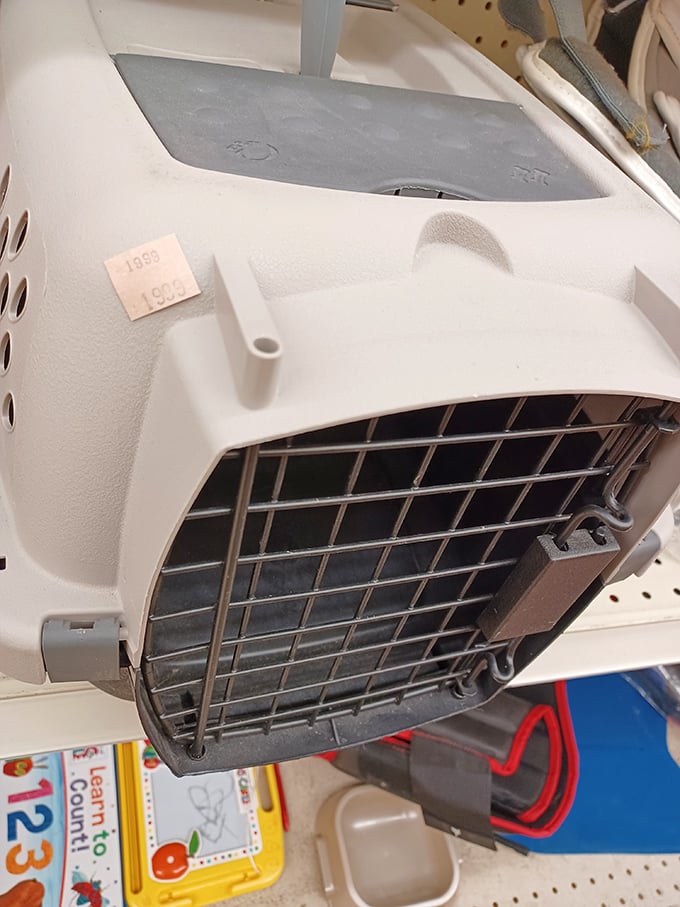 Pet carriers await new adventures. Some lucky furry friend will travel in '90s style—hopefully with less anxiety than my cat.