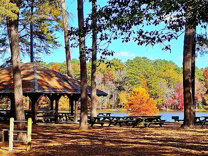 The perfect picnic spot doesn't exi&mdash; Oh wait, here it is, complete with autumn colors and a view that makes your sandwich taste 37% better.