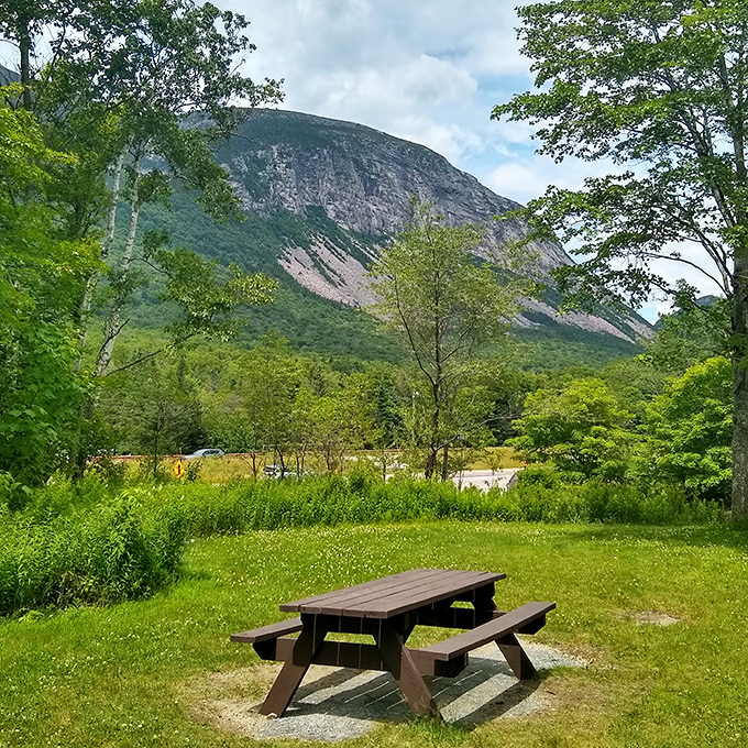 The five-star dining room with the billion-star view. No reservation required, though you might need to share with a chipmunk or two.
