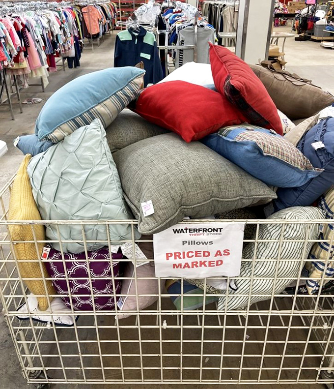 Pillow paradise! A textile petting zoo where comfort comes in every color of the rainbow, priced as marked and ready for adoption.