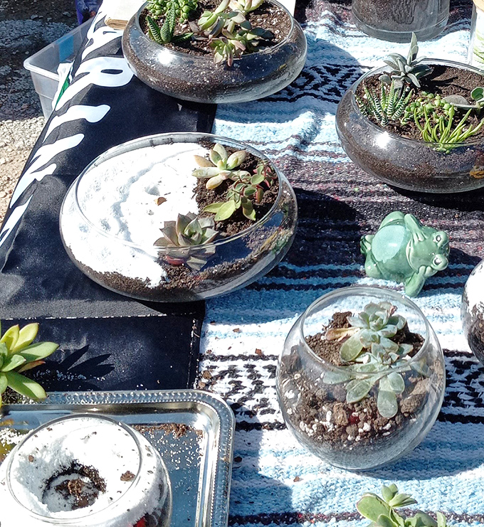 Succulent gardens in glass globes offer tiny worlds of zen amid the market chaos. The little ceramic frog seems right at home.