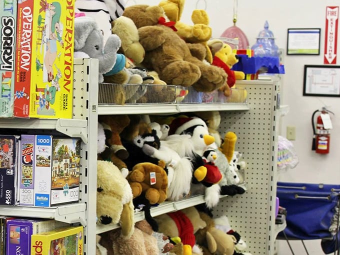 The stuffed animal section: a soft, cuddly retirement community where well-loved teddy bears and forgotten Disney characters await their second chance at being someone's favorite.
