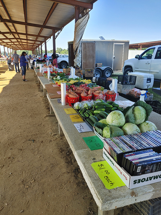 Garden-fresh goodness lines the walkway. Those cabbages aren't just vegetables&mdash;they're Sunday dinner possibilities waiting to meet your grandmother's recipe.
