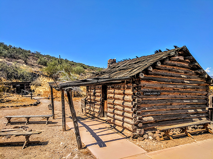 This weathered log cabin has more character in its splintered doorframe than most modern homes have in their entire floor plans.