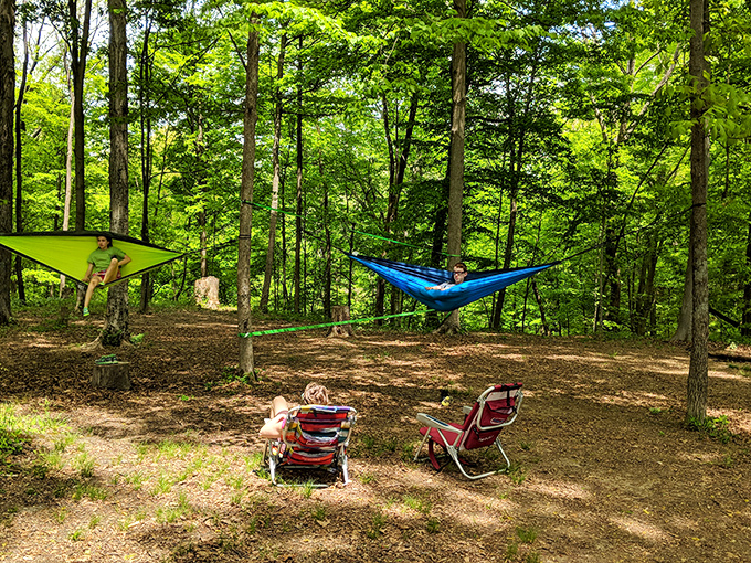 Hammock heaven among the trees. Proof that sometimes the best vacation activity is absolutely nothing at all.
