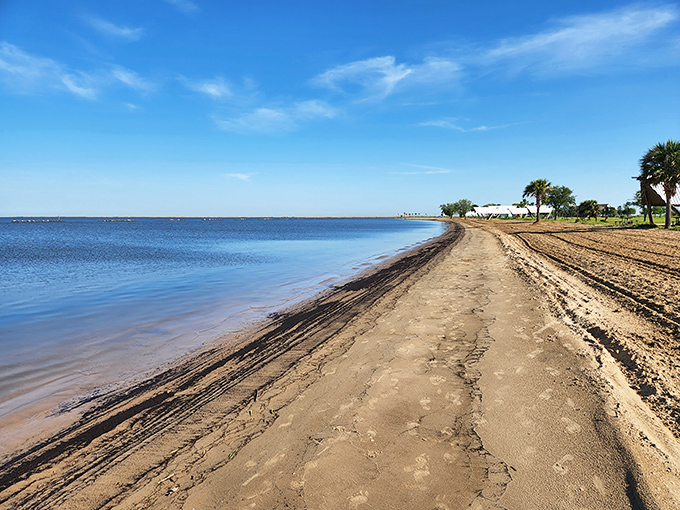 The beach stretches like nature's welcome mat, its distinctive dark edge marking where land embraces water in this uniquely Louisiana coastal dance.