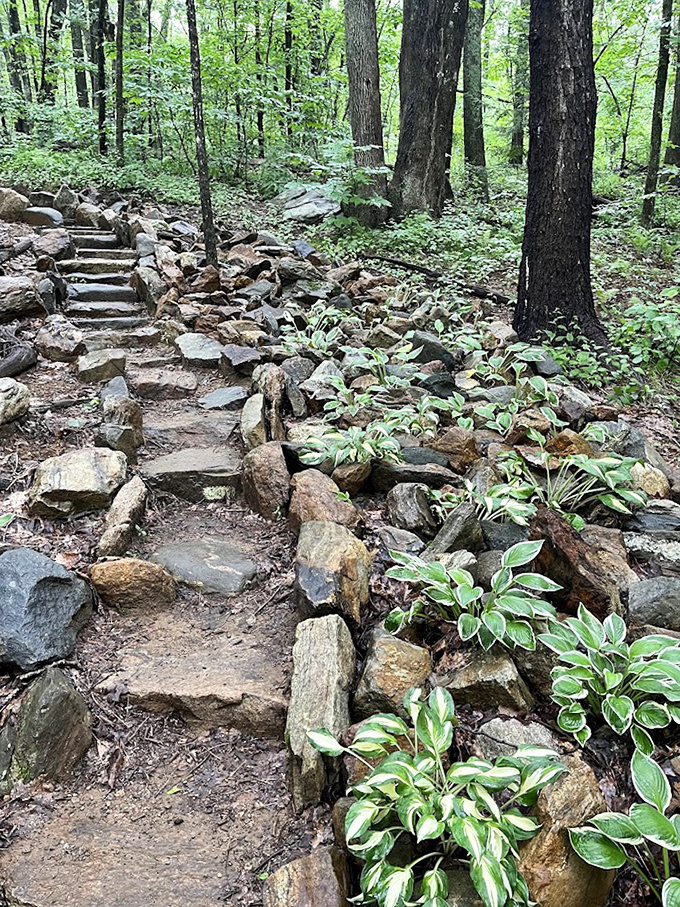 Nature's stairmaster comes with better views and zero membership fees. The only thing getting lighter here is your mind, not your wallet.