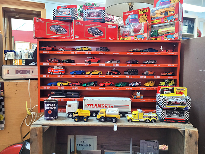 Die-cast cars lined up with military precision &ndash; childhood dreams meticulously preserved behind glass for grown-ups who never quite outgrew their Hot Wheels phase.