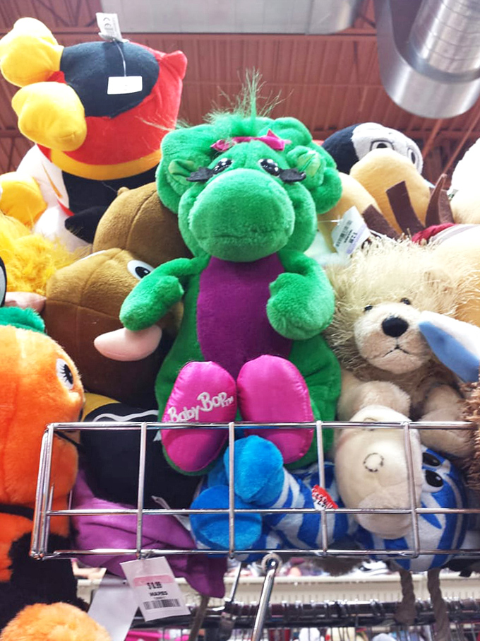 Plush toy reunion! That Barney lookalike and forgotten teddy are ready for cuddles from a new generation of tiny Nevadans.