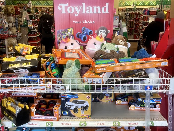 The toy section where childhood dreams meet adult budgets, and everyone leaves happy with their new treasures in tow.
