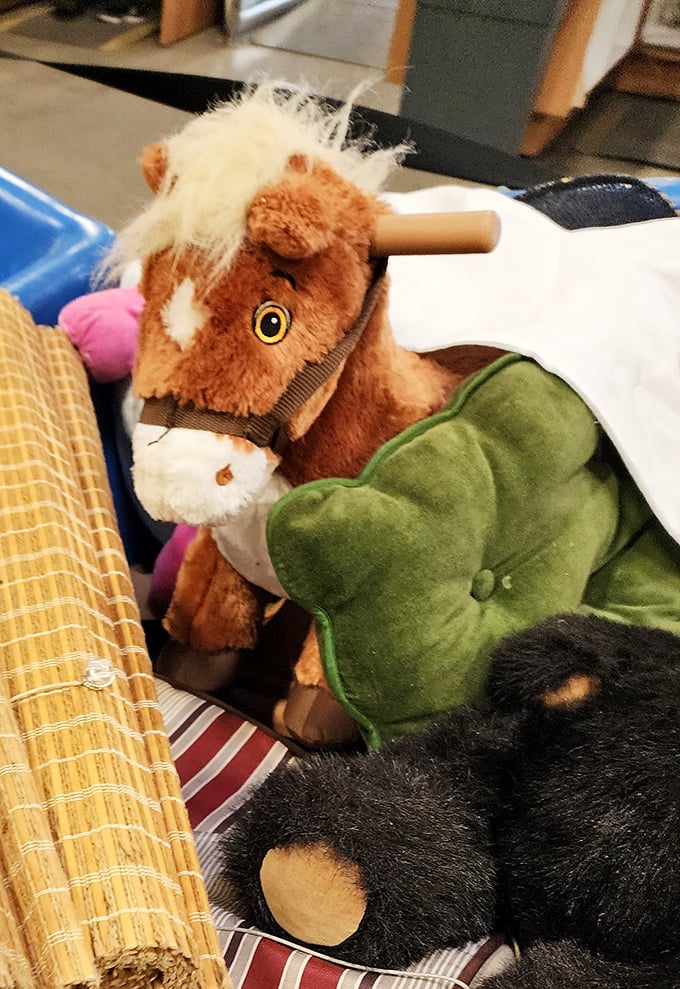 One horse's trash is another person's treasure. This stuffed pony is just waiting for its second chance at bringing joy to a new home.