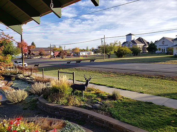 Even the local wildlife appreciates Joseph's landscaping&mdash;this deer casually browsing through town like it's reviewing properties for Zillow.