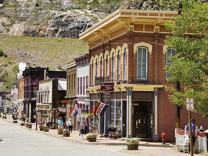 Georgetown's Victorian splendor creates a living museum where every building tells a story of elegance.