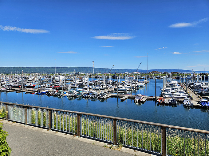 Homer's bustling harbor sparkles under blue skies, a playground for fishing enthusiasts and seafood lovers alike.